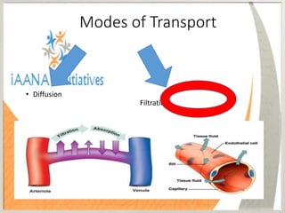 Starling forces | PPTX