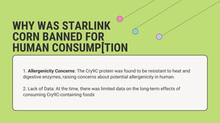 CASE STUDY ABOUT STARLINK CORN CROPS | PDF