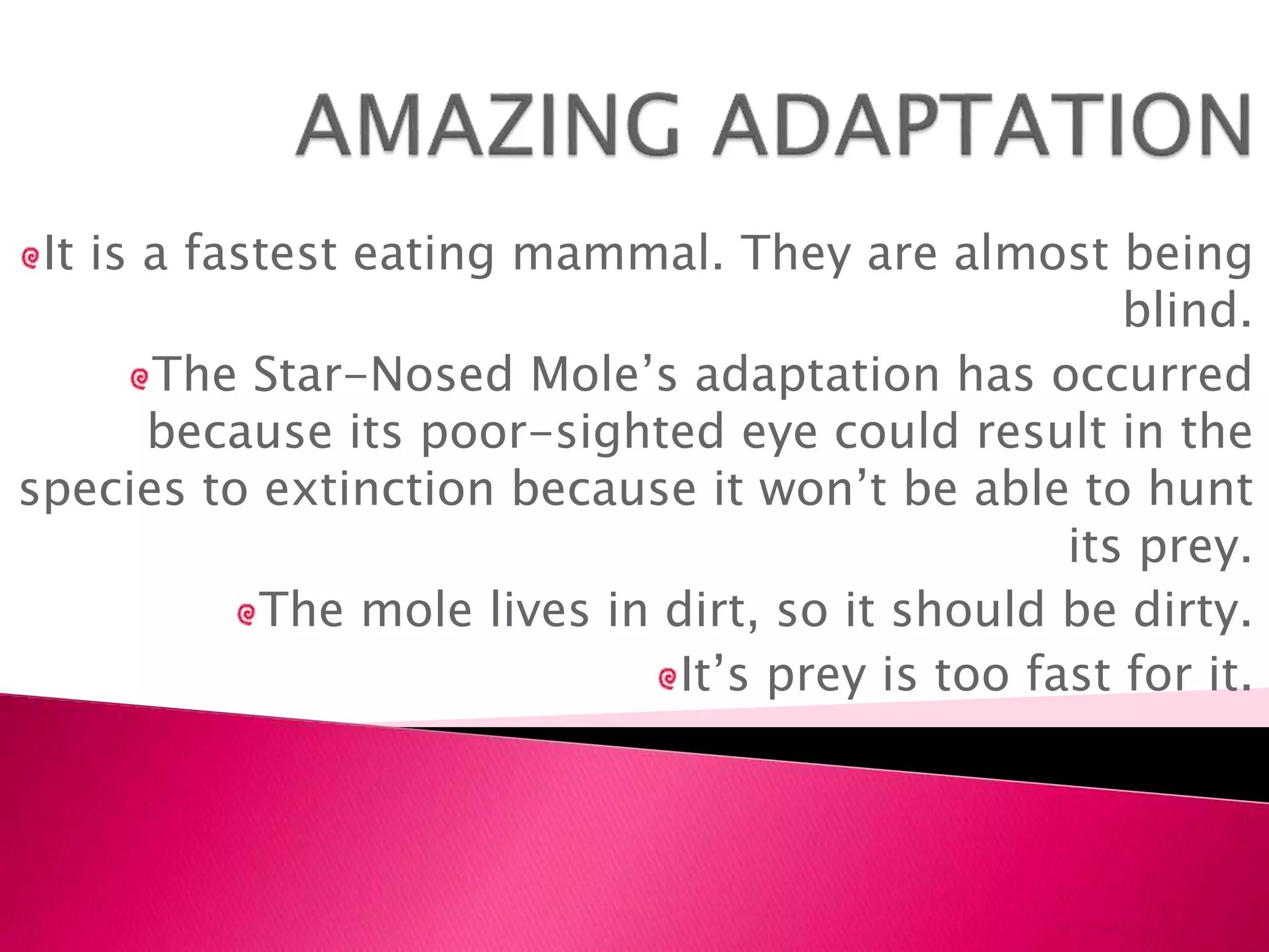Star nose mole assignment | PPTX