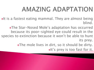 Star nose mole assignment | PPTX