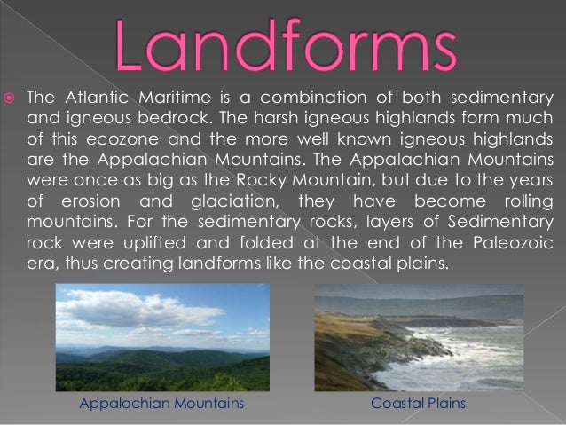 Atlantic Maritime Ecozone