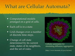 Population Dynamics in Conway’s Game of Life and its Variants | PPTX