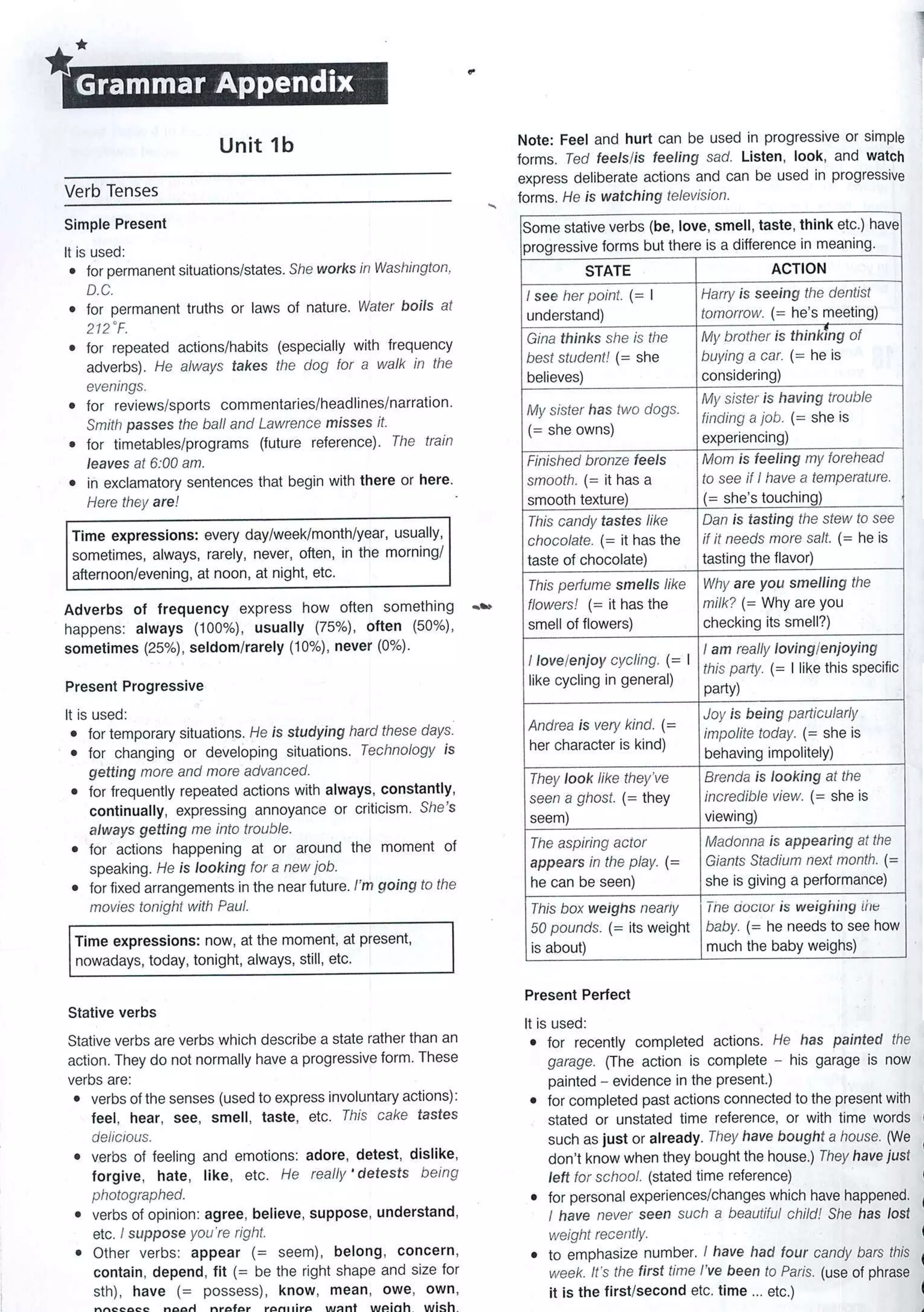 Stars and Stripes ECPE Grammar Unit 1 | PDF