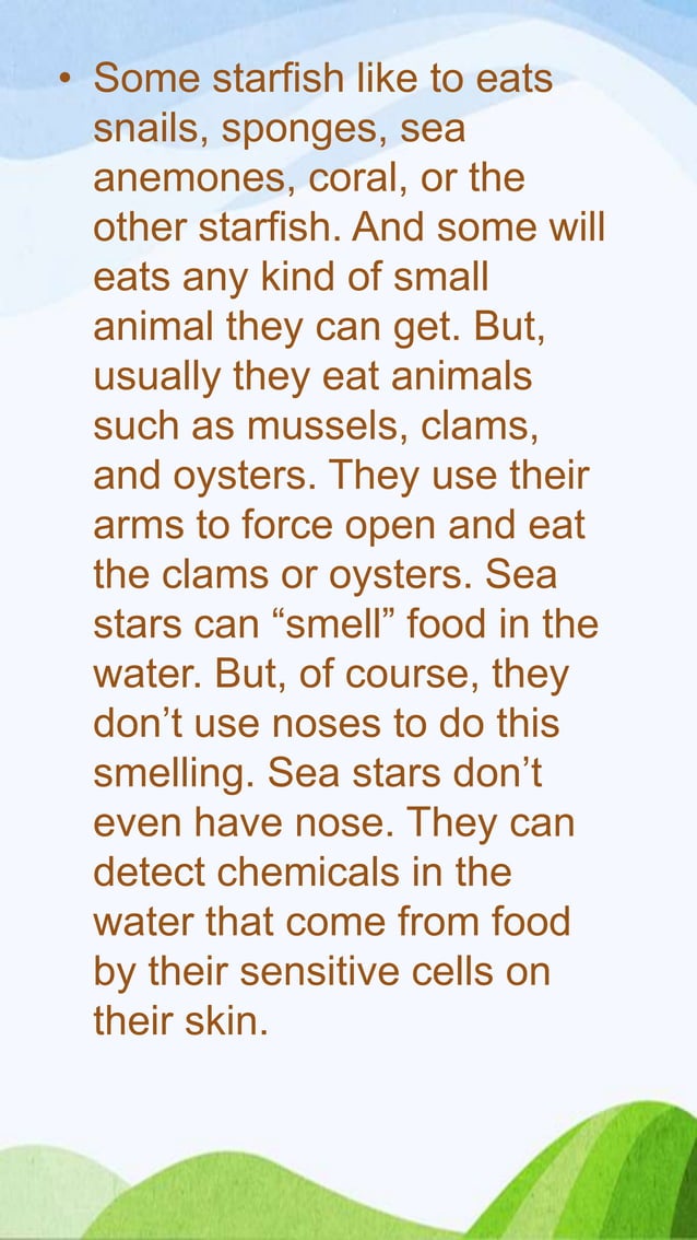 Star sea - Starfish | PDF