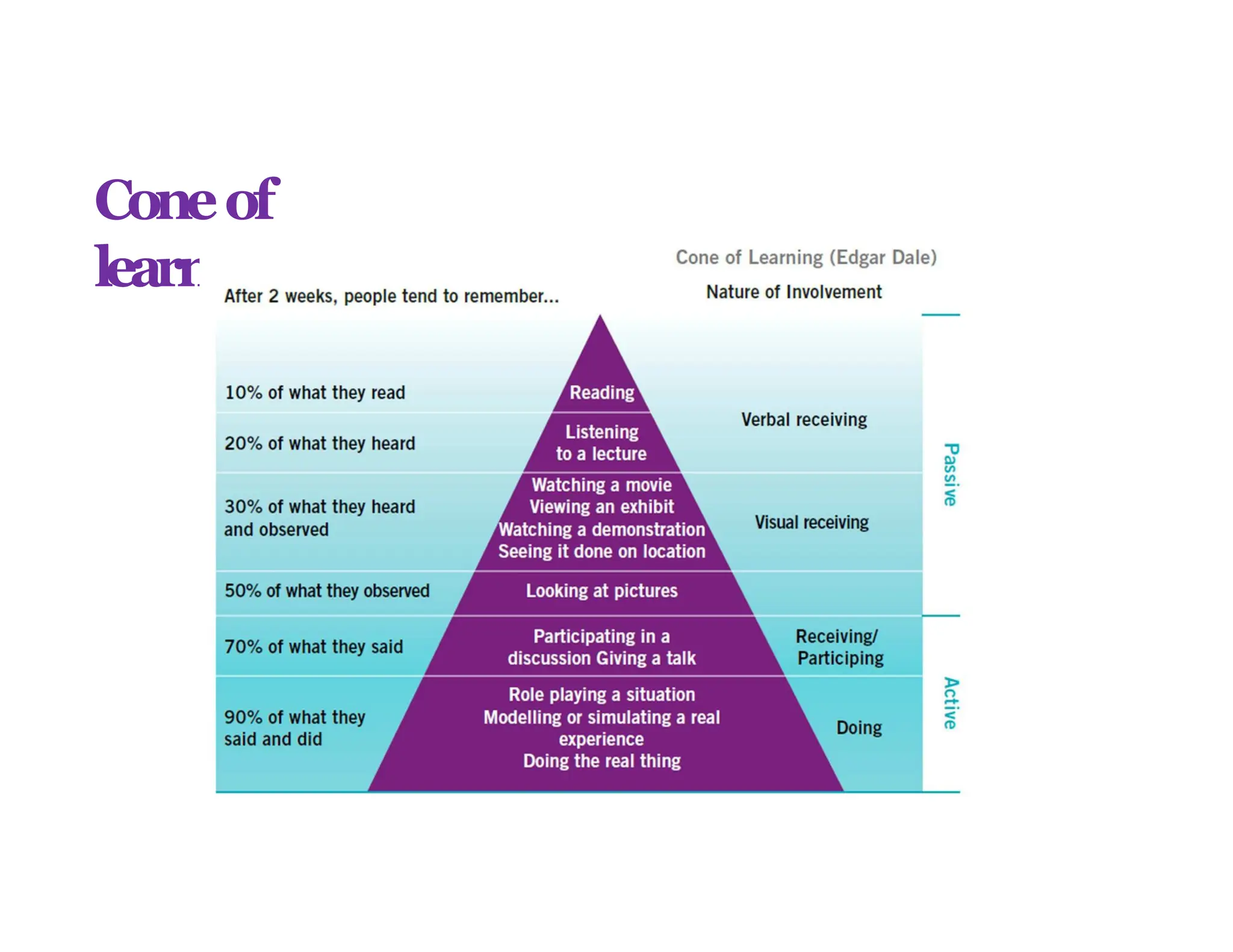 How To Organize Start Coop Presentation Pptx