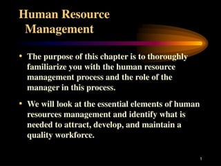 Human Resource Management, strategies for management | PDF