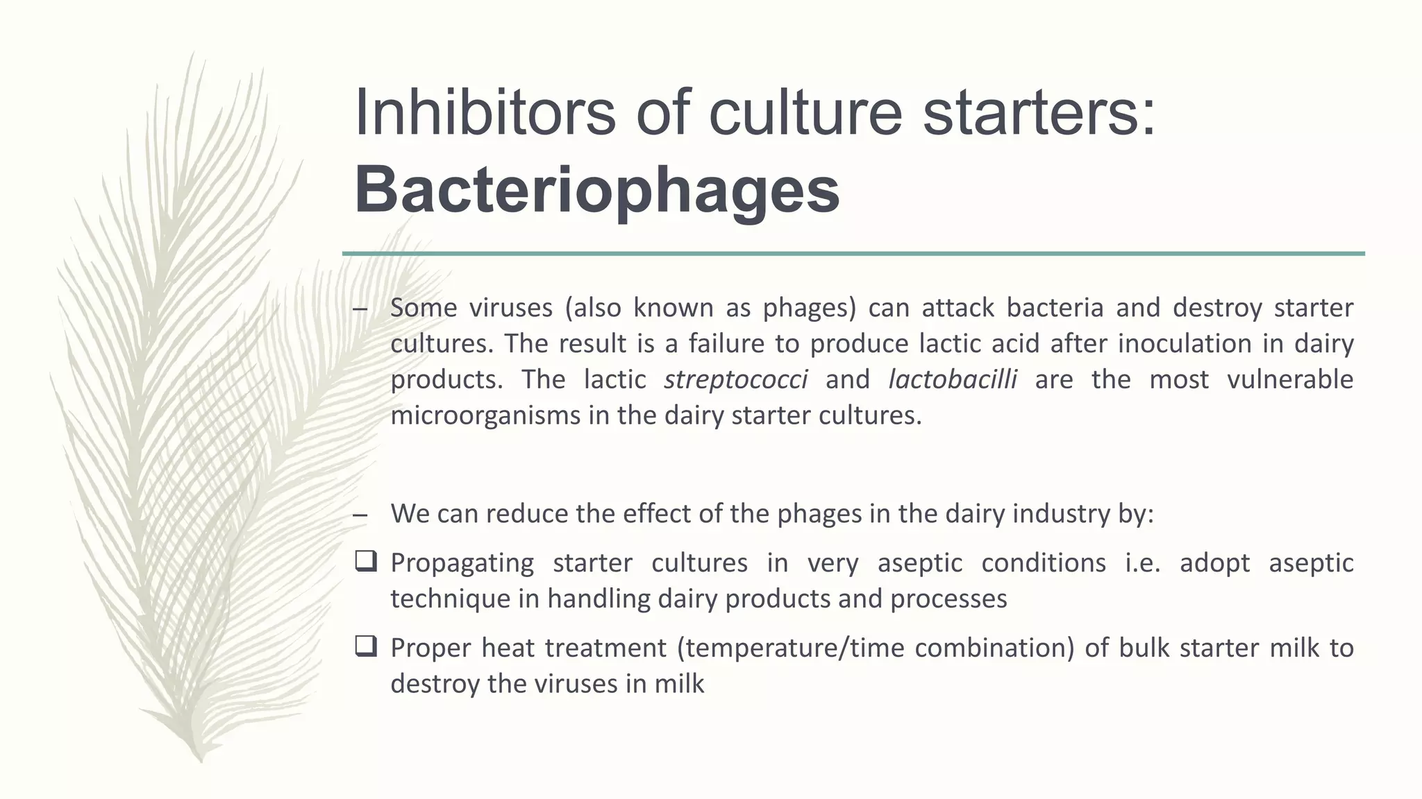 Starter culture definition, starter culture selection, starter culture ...