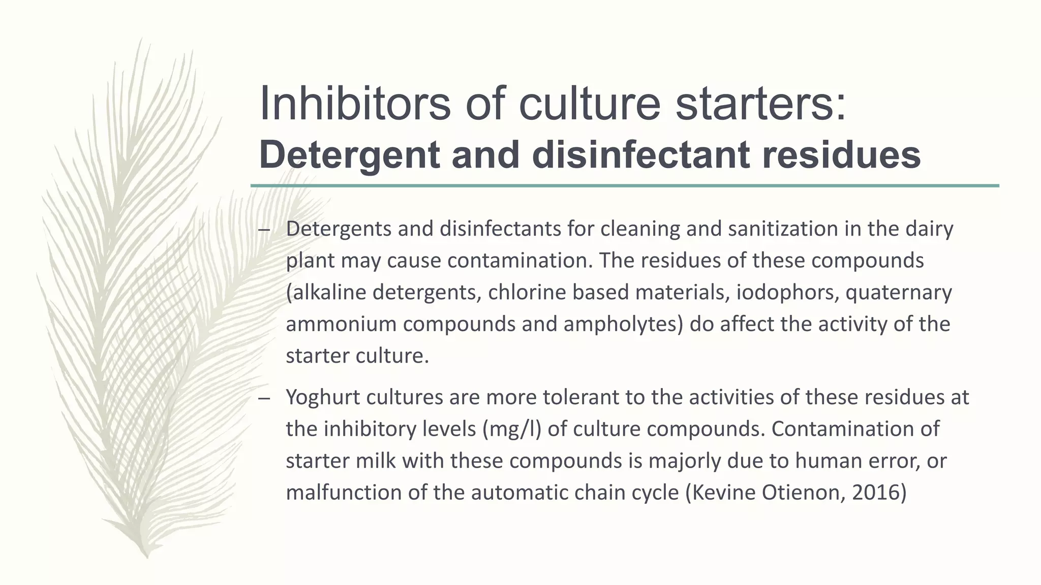 Starter culture definition, starter culture selection, starter culture ...