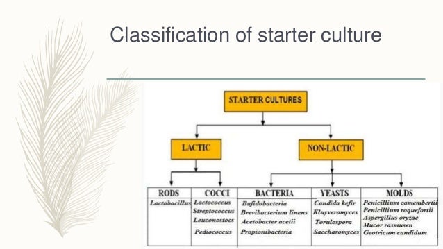 Starter culture definition, starter culture selection, starter cultur…