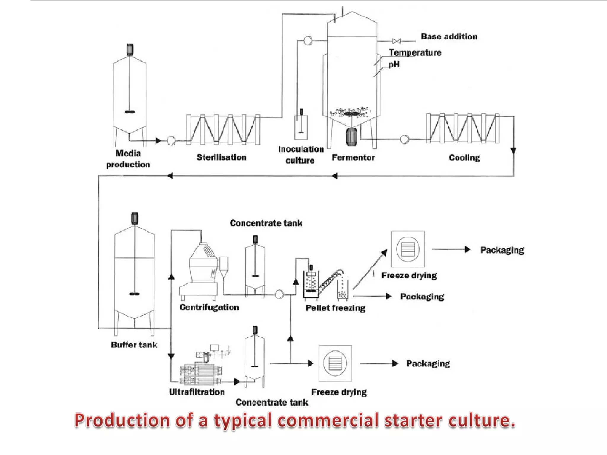 Starter culture technology | PPT