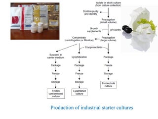 Starter culture technology | PPT