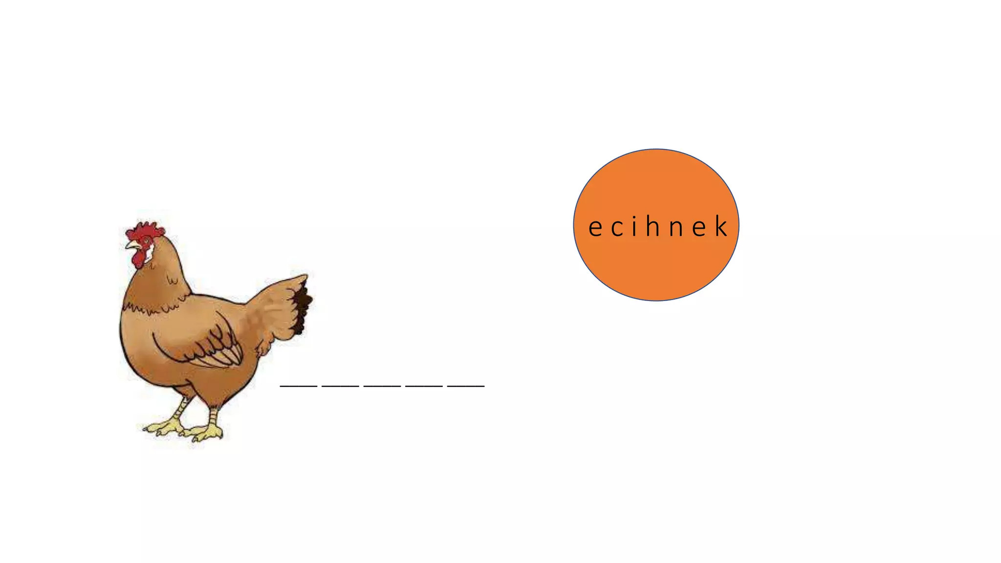 Starters Animals.pptx