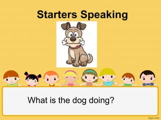 starter speaking c! T1.ppt
