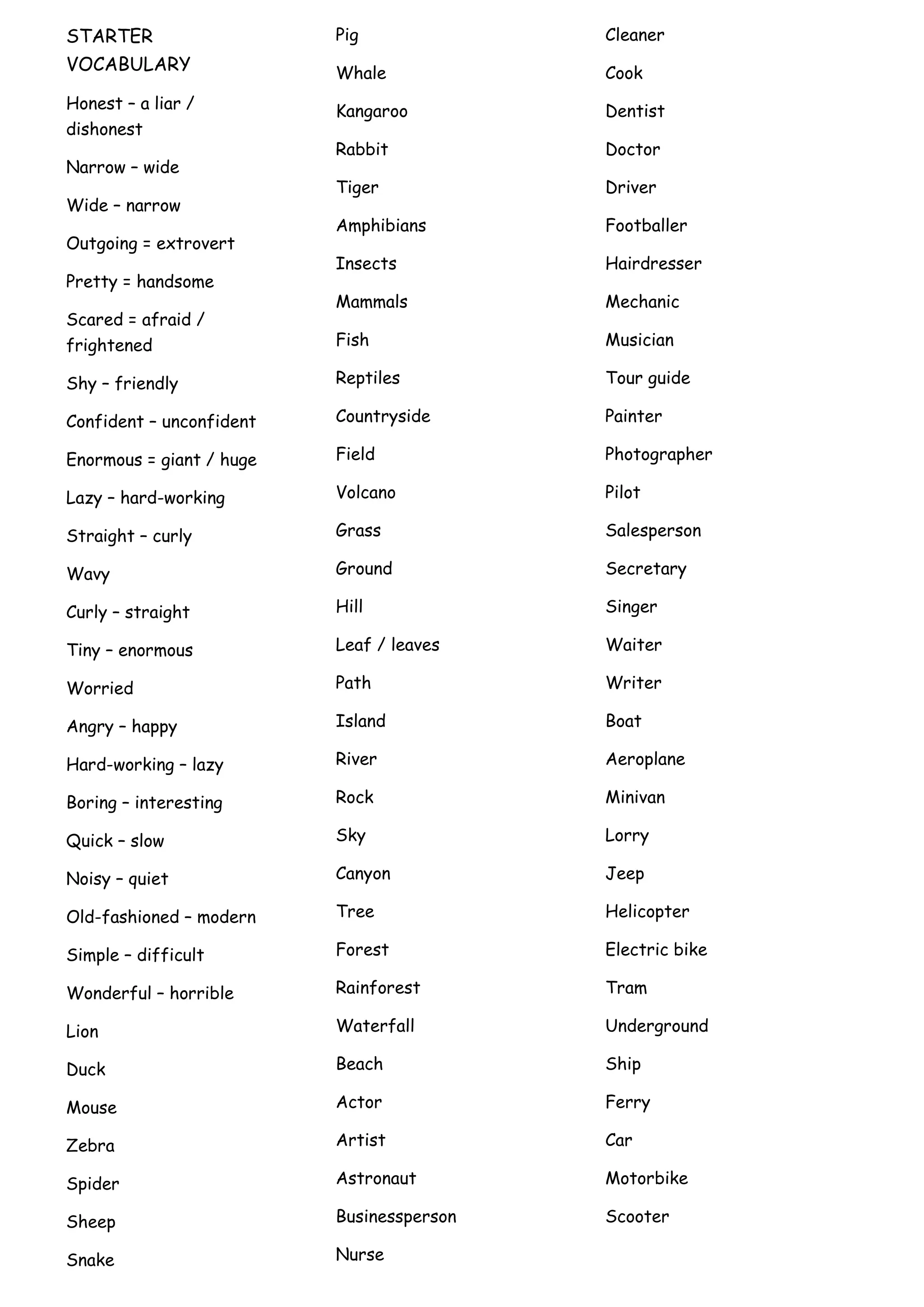 STARTER VOCABULARY.docx