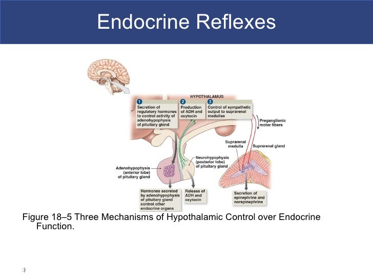 Start Here Ch18 Lecture