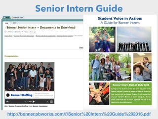 Starting Strong: Senior Intern Roles and Resources | PDF