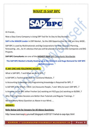 Start learning sap bpc by yourself | PDF