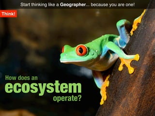 Start Thinking Geography! | PDF