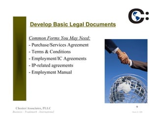 Startup Legal Issues | PDF