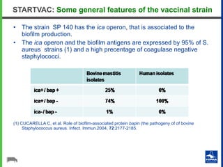 Startvac mechanism of action | PPT