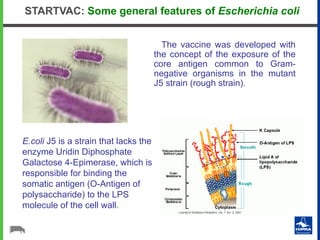 Startvac mechanism of action | PPT
