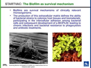 Startvac mechanism of action | PPT