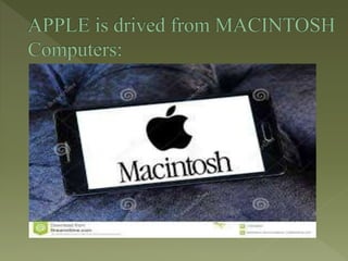 Start with the name of allah by RABIA Altaf | PPTX