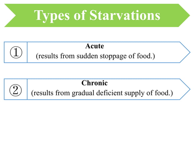 Starvation | PDF