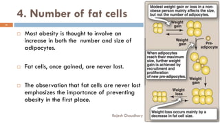 Starvation and obesity | PDF