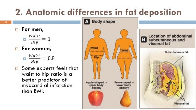 Starvation and obesity