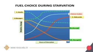Starvation ppt | PPTX