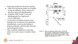 Starvation ppt | PPTX