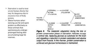 Starvation ppt | PPTX