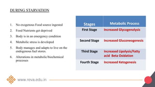 Starvation ppt | PPTX