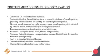 Starvation ppt | PPTX