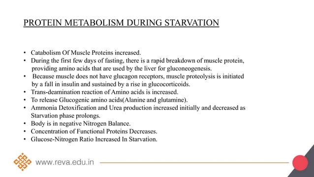 Starvation ppt | PPTX
