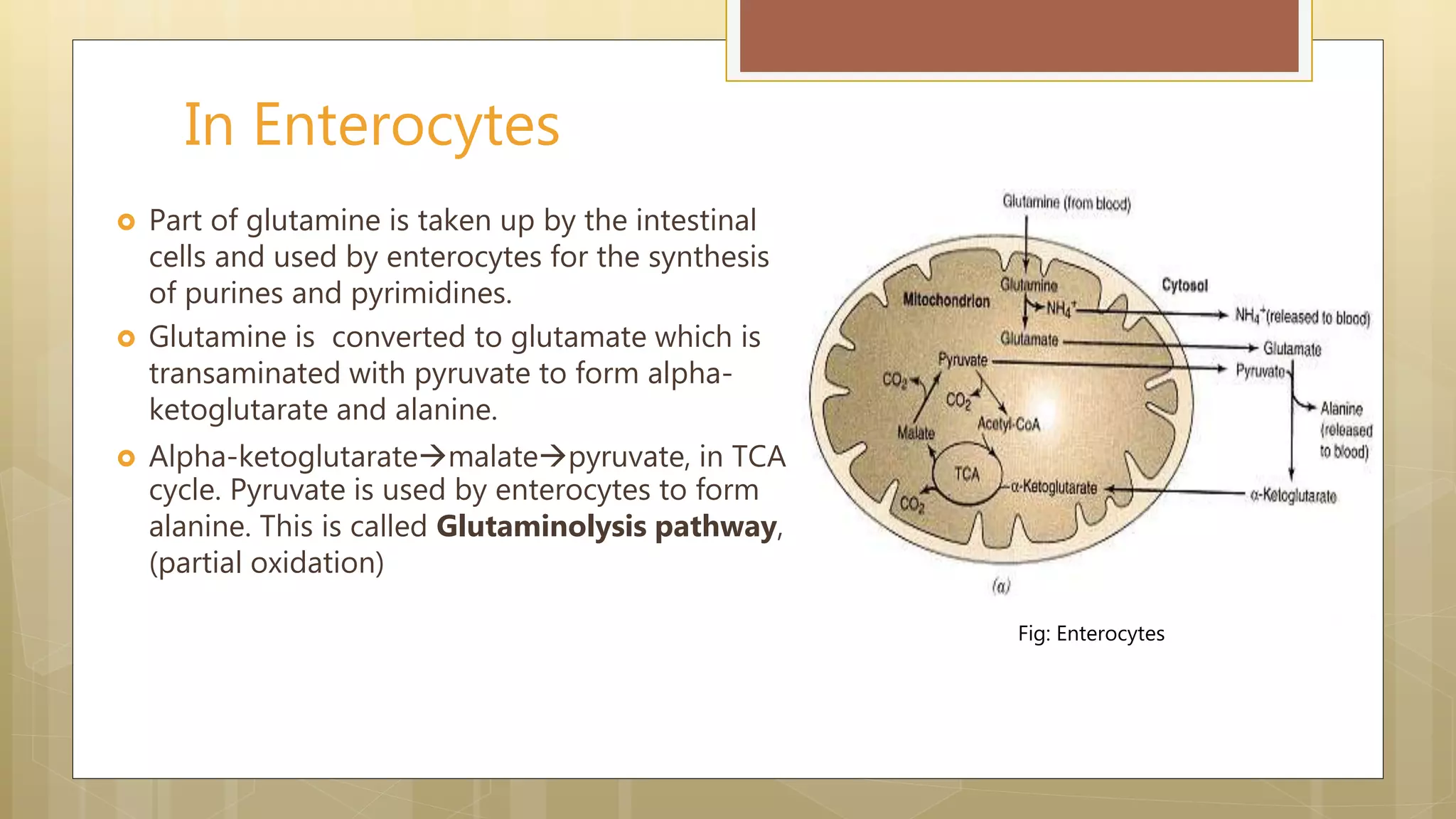 Starve feed cycle | PPTX