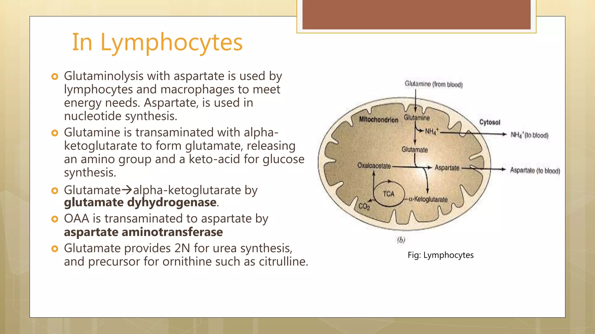 Starve feed cycle | PPTX