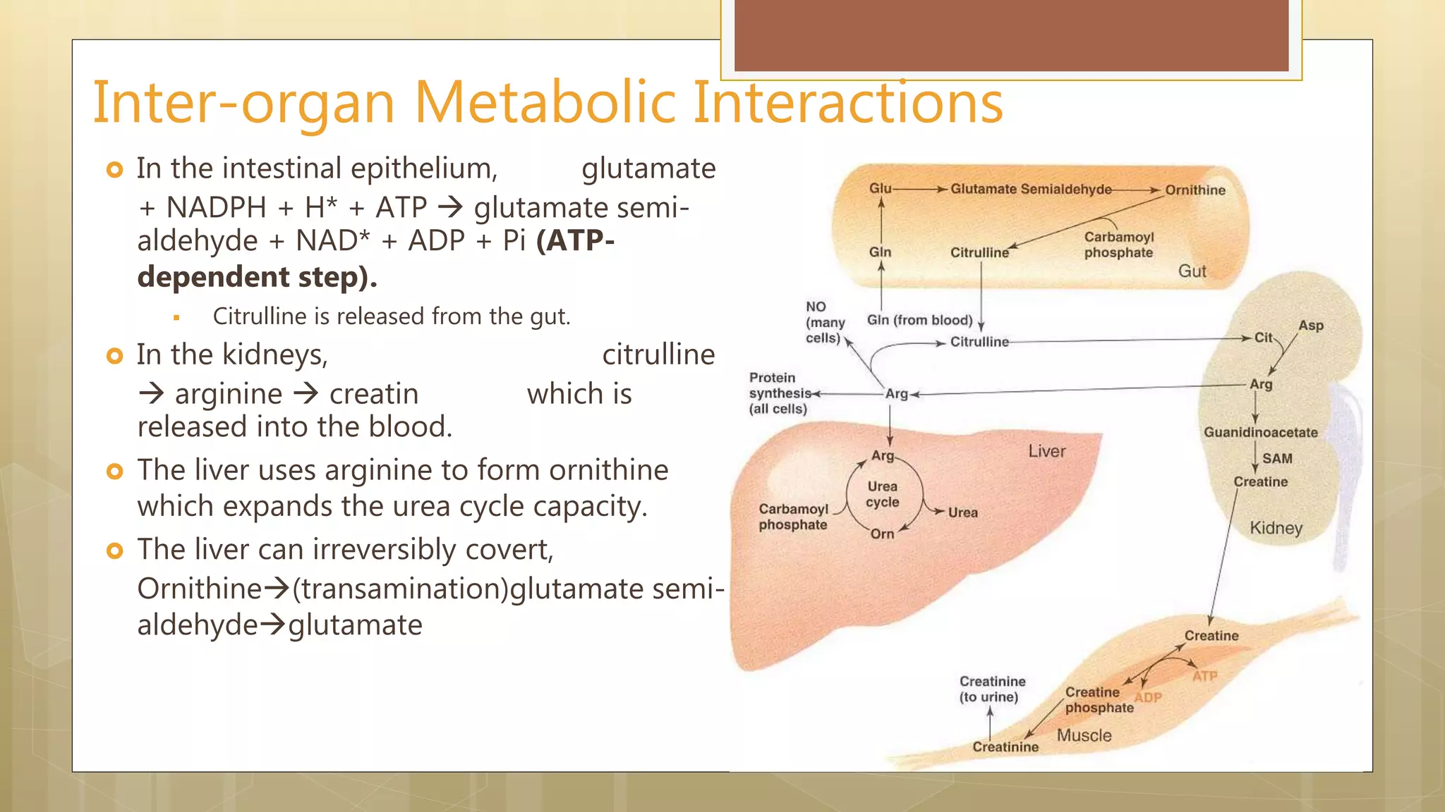 Starve feed cycle | PPTX