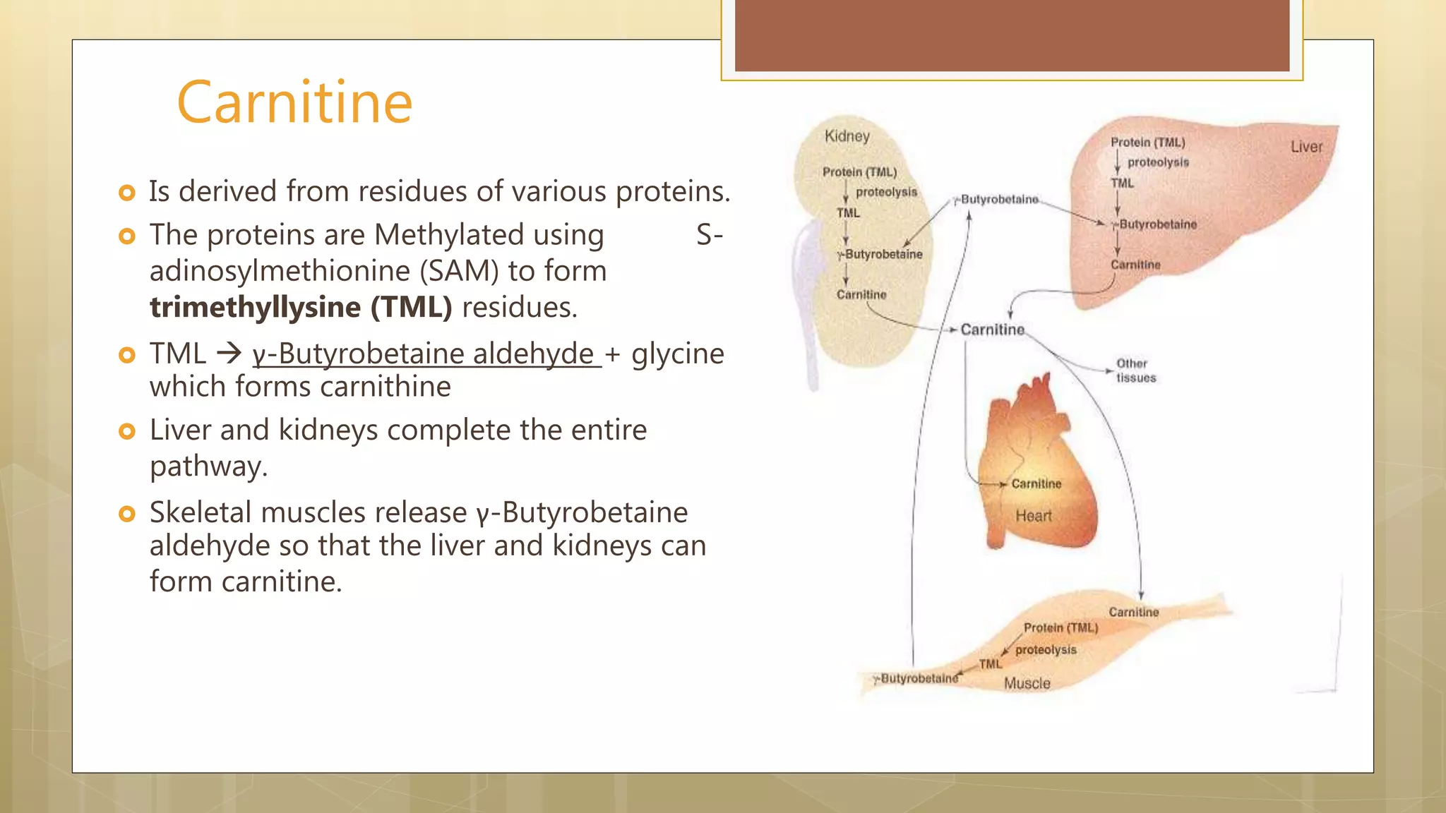 Starve feed cycle | PPTX