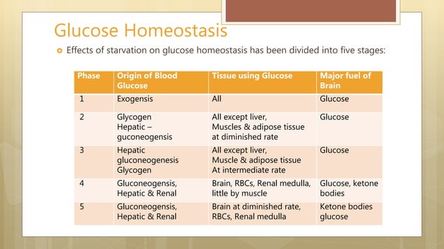 Starve feed cycle | PPTX | Endocrine and Metabolic Diseases | Diseases ...