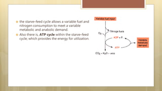 Starve feed cycle | PPTX