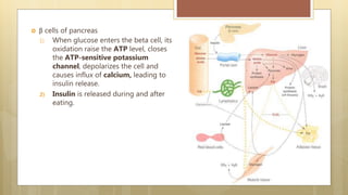 Starve feed cycle | PPTX