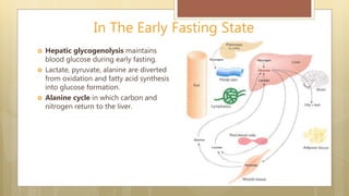 Starve feed cycle | PPTX