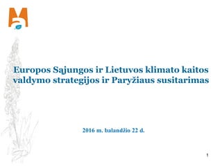 Europos Sąjungos ir Lietuvos klimato kaitos strategijos ir Paryžiaus susitarimas | PPT