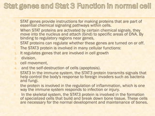 Stat3 in hepatocellular carcinoma | PPT