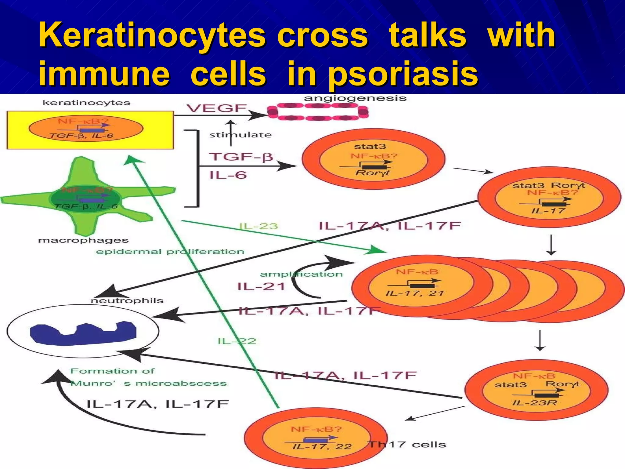 Stat3protein & immunocompetent cells in psoriasis pathogenesis | PPT