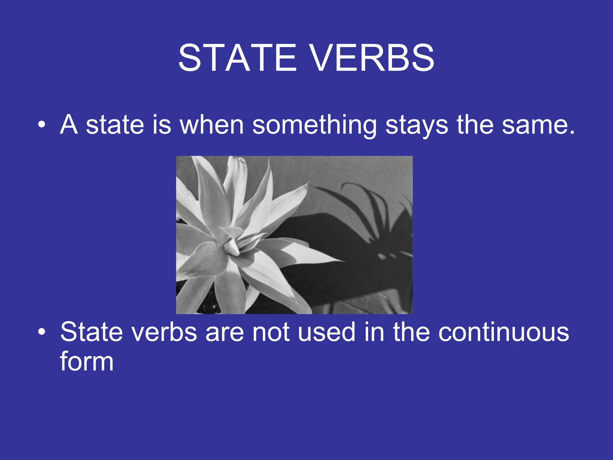 STATE AND ACTION VERBS IN English.ppt.pptx