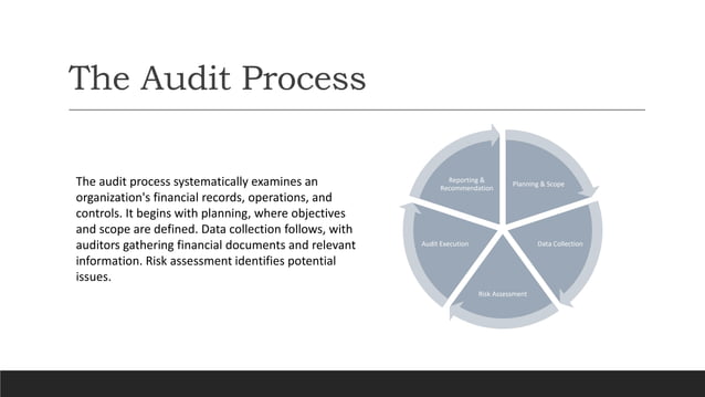 State and Local Financial Accountability Audits.pptx
