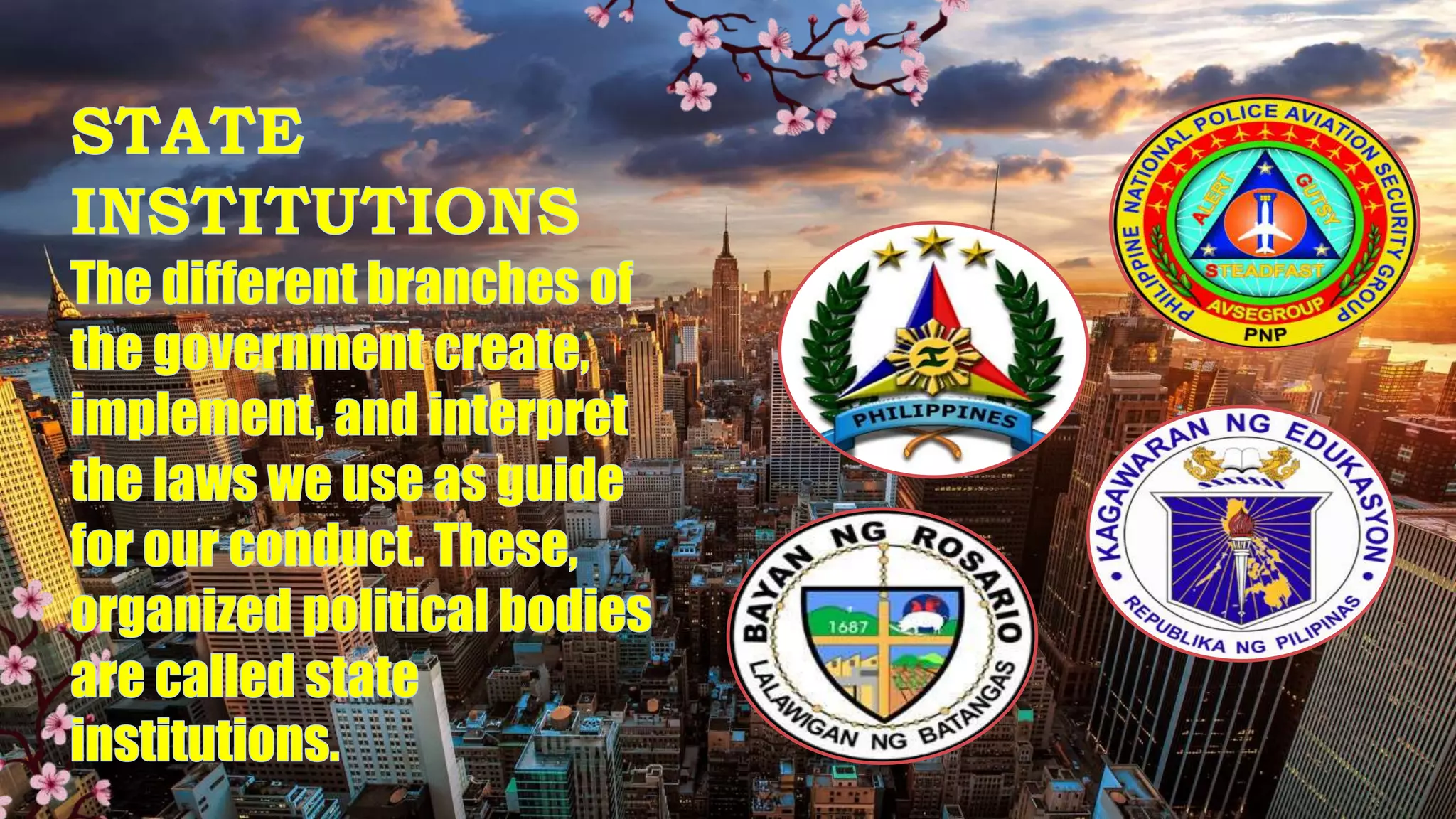 state and non state institutions.pptx